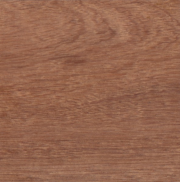 Sapele - Your Useful #1 Wood Resource | Konisa Studio